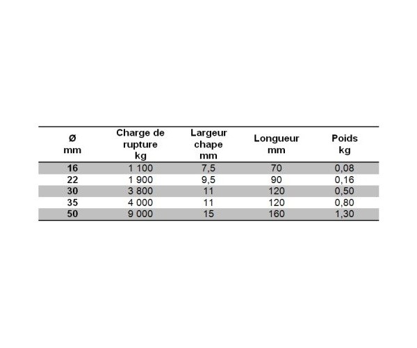 Emerillon EBR à 2 chapes sur bague bronze (tirage SOUTERRAIN ...